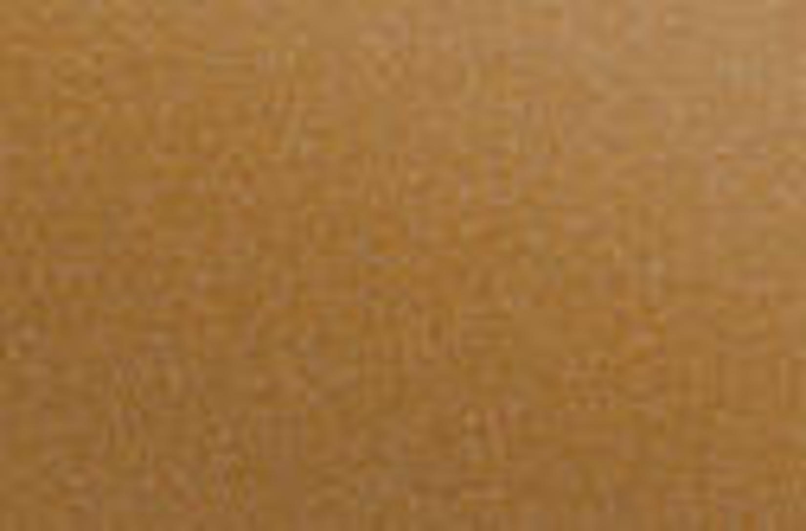 ORACAL® 970 Premium Wrapping Cast: ORAFOL Europe