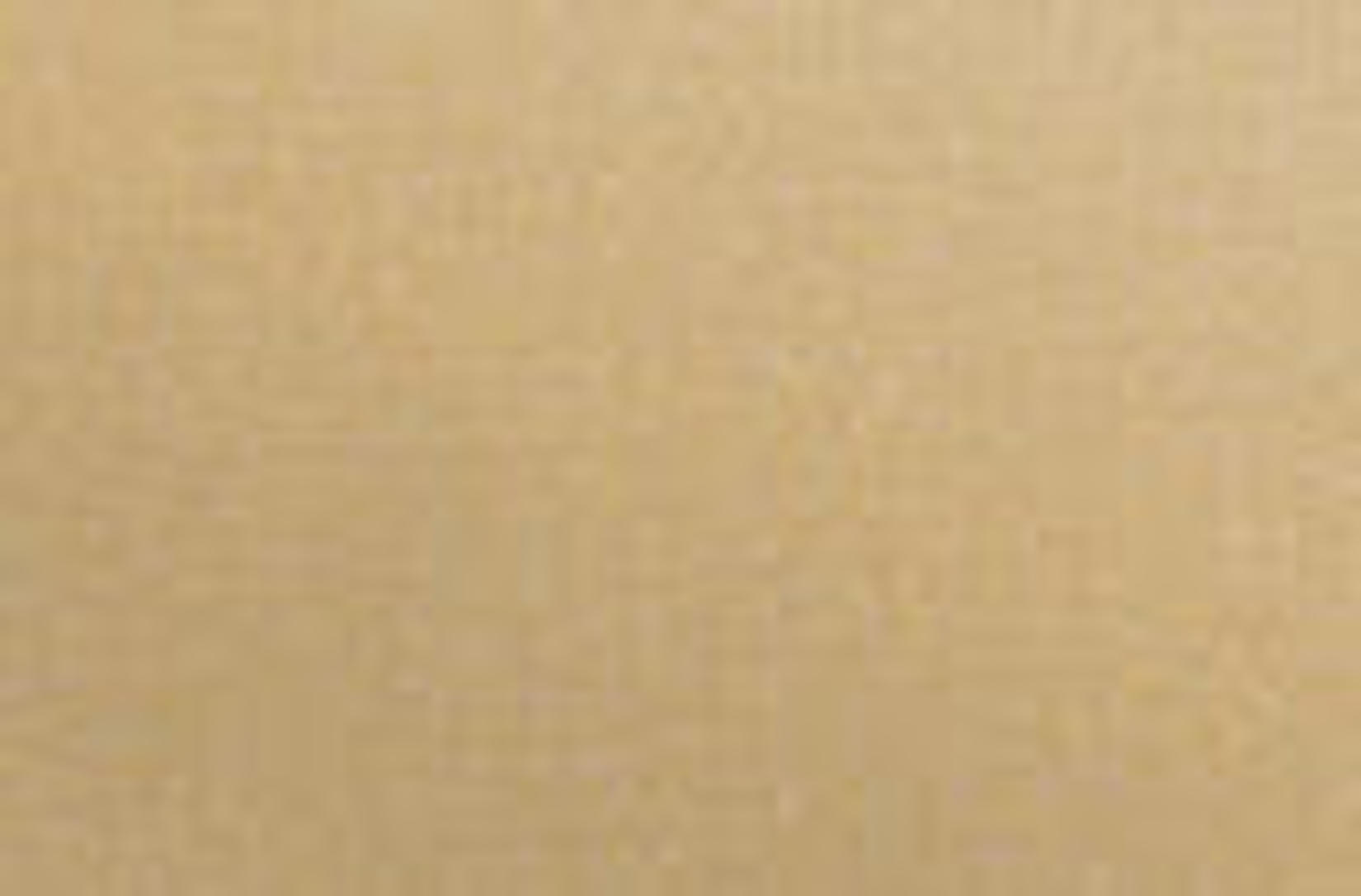 ORACAL® 970 Premium Wrapping Cast: ORAFOL Europe